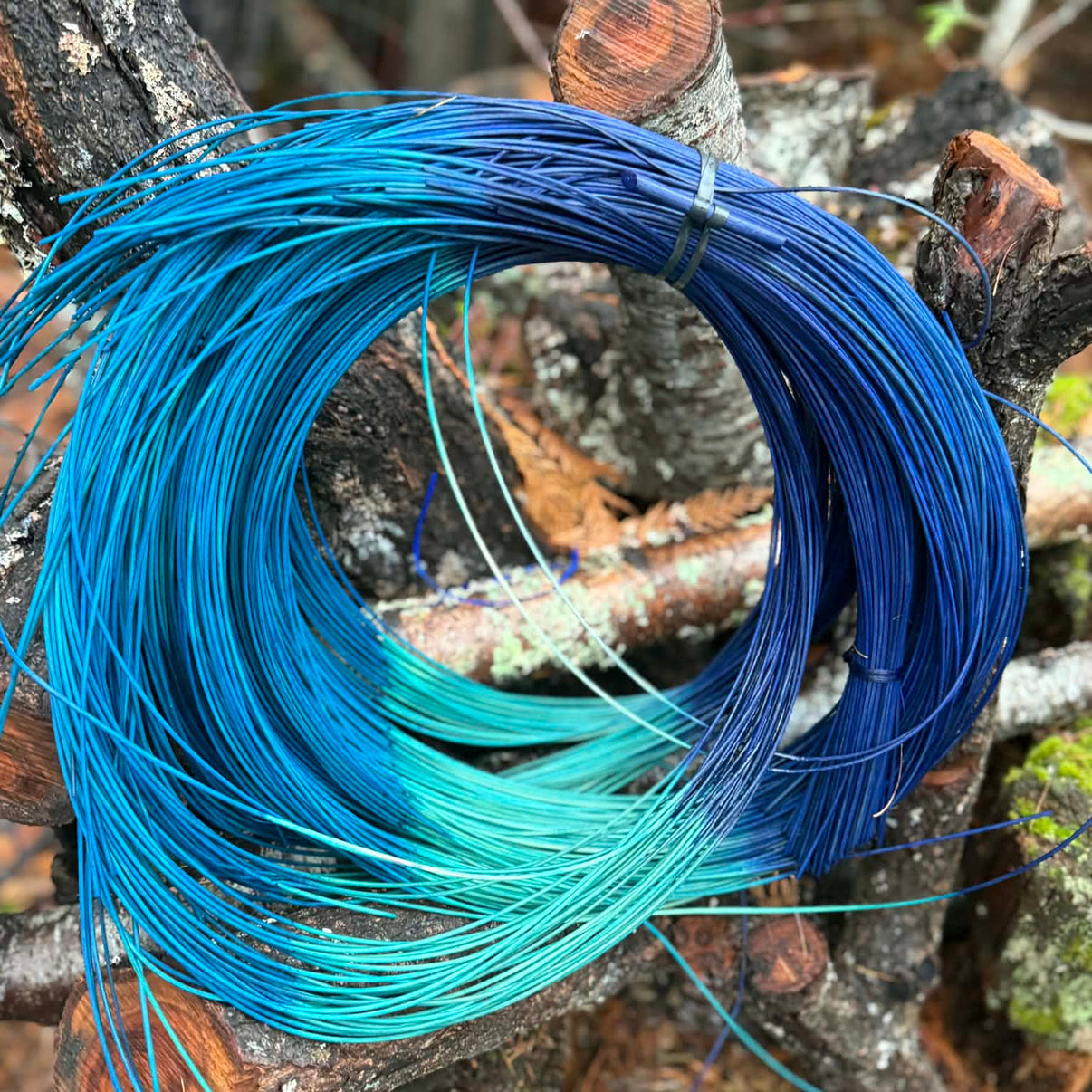 Blue Ombre #2 Reed One Pound – J Choate Basketry
